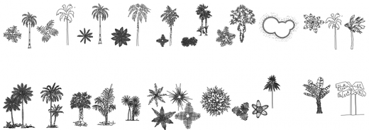 Neem tree color elevation 2d block drawing details dwg file - Cadbull